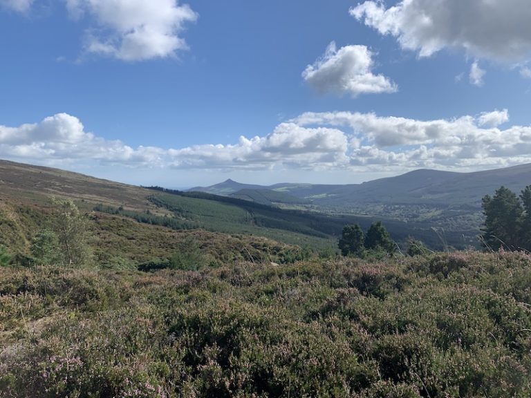Peace Walk 2021 – The Glencree Centre for Peace and Reconciliation